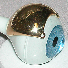 Eye Physics 2nd Generation Plaques
