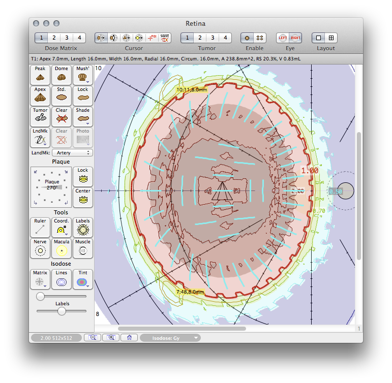 Eye Physics Model 2443